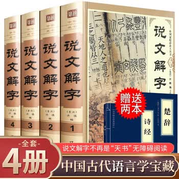 正版 说文解字原版 许慎著正版全版 全今释图解540部首篆书字注解 大字本说文解字注段玉裁注中华书局