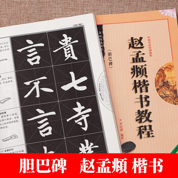 赵孟頫楷书教程《胆巴碑》中国书法培训教程 赵体楷书书法毛笔教材临摹练字帖 笔画部首结构解析 崇文书局