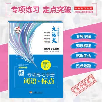 大语文初中专项练习手册 初中生语文手册全套 词语 标点