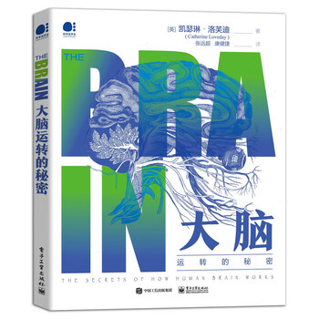 大脑运转的秘密