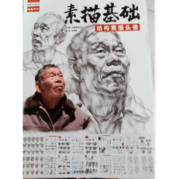 素描基础结构素描头像 2020尚读张秀敏[C]
