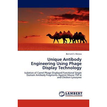 Unique Antibody Engineering Using Phage Display