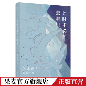 此时不必问去哪里 独木舟 2020长篇力作 金句女王 果麦出品
