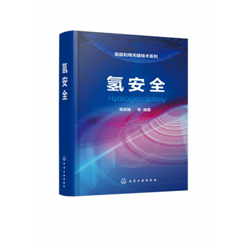 氢安全(精)/氢能利用关键技术系列