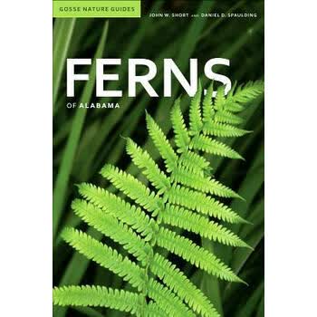 Ferns of Alabama