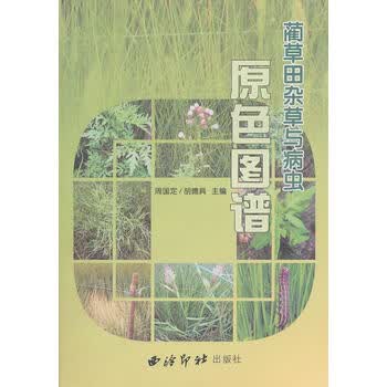 蔺草田杂草与病虫原色图谱【正版图书】