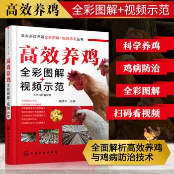 畜禽高效养殖全彩图解+视频示范丛书--高效养鸡全彩图解+视频示范