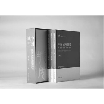 中国城市建设可持续发展战略研究（套装上中下册）