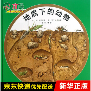 地底下的动物(精)