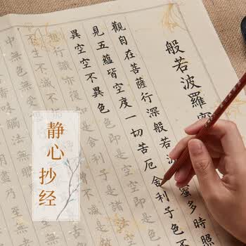 心经手抄佛经抄经本套装抄写经书经文金刚经大悲咒药师经初学者临摹小楷毛笔字帖书法专用纸香炉焚香套装 药师经全篇 30张/5遍 单字帖 20张/包