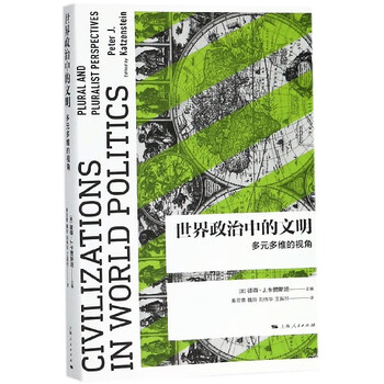 世界政治中的文明(多元多维的视角)