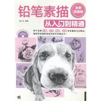 铅笔素描从入门到精通（*超值版） 麦小朵 绘画 9787515331713