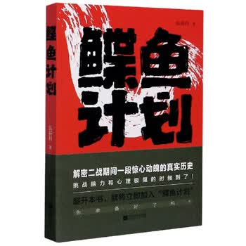 鲽鱼计划