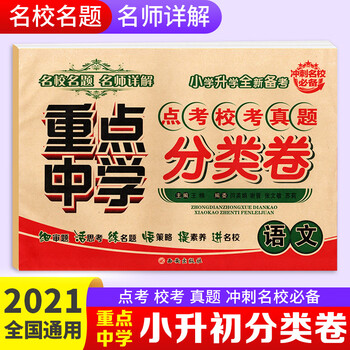 小升初分类卷语文数学英语人教版名校名题分类卷 小升初重点中学真题卷超详解冲刺名校小升初五六年级必刷真题 小学总复习试卷分类卷训练真题 语文-2021版