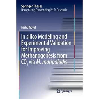 In Silico Modeling and Experimental Validation f