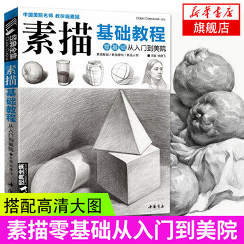 全集 素描零基础初自学入门教程材书籍者铅笔手绘画画册本从单个体石膏几何体成人美术的诀窍临摹范本到精通套人物考级杨建飞