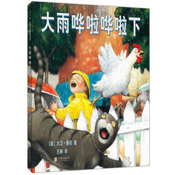 大雨哗啦哗啦下 (美)大卫 香农 北京联合出版有限公司【新华书店，正版图书】