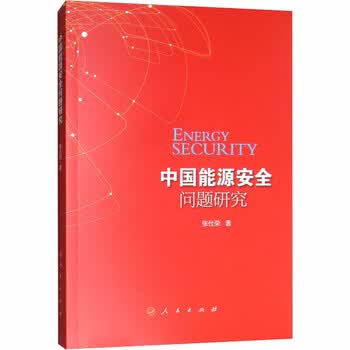 中国能源安全问题研究