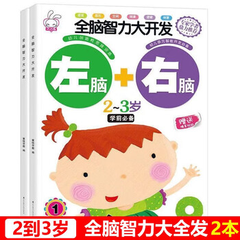 全脑智力大开发 2-3-4岁宝宝早教婴幼儿童专注力观察力训练游戏书5-6左右脑开发图画 2-3岁共2册
