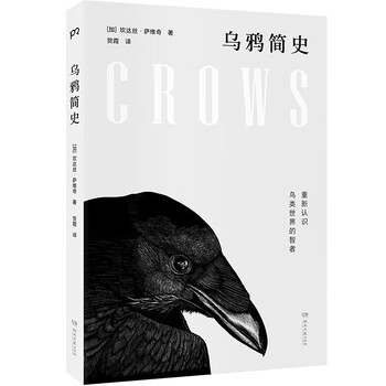 乌鸦简史：重新认识鸟类世界的智者