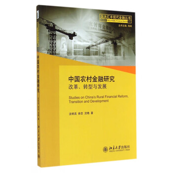 中国农村金融研究(改革转型与发展)/北大汇丰现代金融丛书