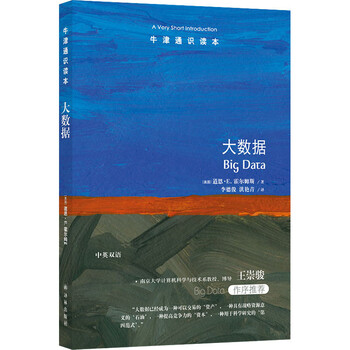 大数据(美)道恩·E.霍尔姆斯