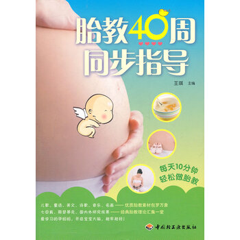胎教40周同步指导 王琪 中国轻工业出版社