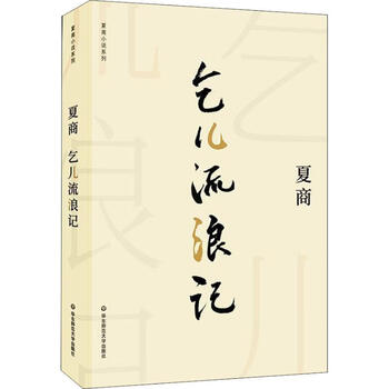 乞儿流浪记
