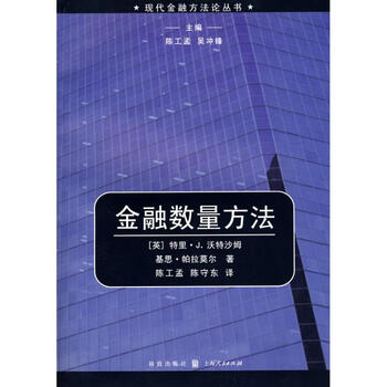 金融数量方法(现代金融方法论丛书)