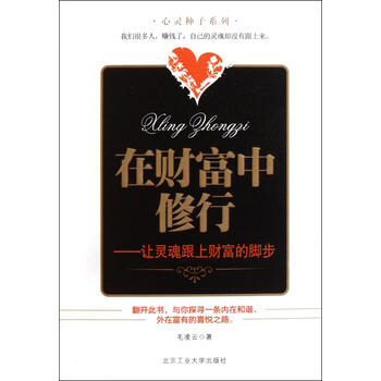 在财富中修行 让灵魂跟上财富的脚步 毛凌云 北京工业大学出版社