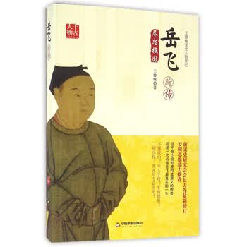岳飞新传