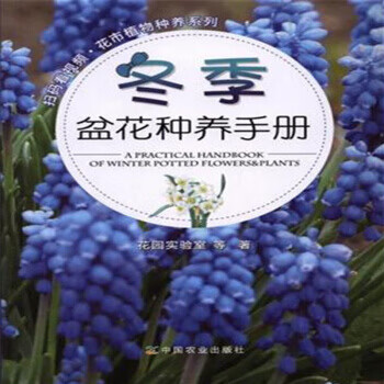 冬季盆花种养手册