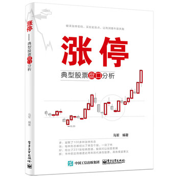 涨停:典型股票盘口分析【正版图书】