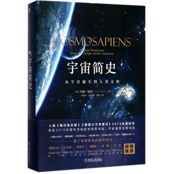 宇宙简史(从宇宙诞生到人类文明)(精)