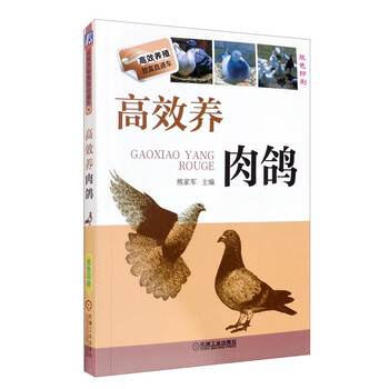 高效养肉鸽（双色印刷）