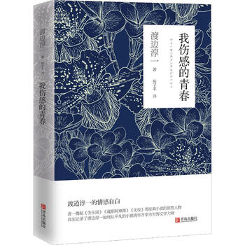 我伤感的青春【正版图书】