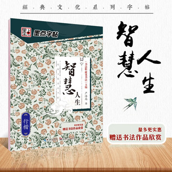 墨点字帖荆霄鹏行楷字帖男女生字体漂亮硬笔书法字帖钢笔字帖行楷高中生大学生成年练字大开本智慧人生字帖行楷临摹练字帖