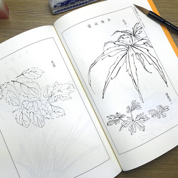 草虫花卉谱(白话文版)/芥子园画谱