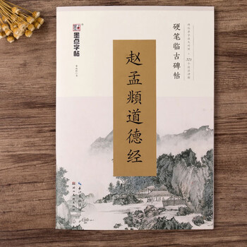 赵孟頫小楷道德经钢笔字帖 硬笔赵体楷书钢笔临摹古碑帖单字放大对照墨迹版 米字格书写技法解析 墨点字帖
