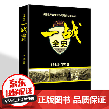 一战全史 第一次世界大战 军事历史书籍战争形势和战略战术 战役经过 主要将领 武器装备 战争史书正