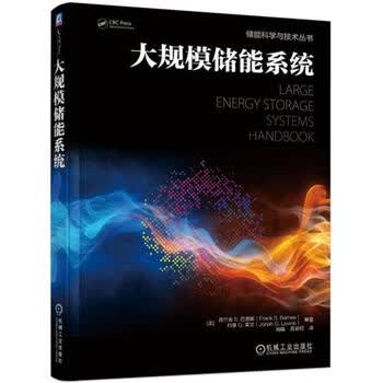 大规模储能系统 弗兰克S. 巴恩斯8010636