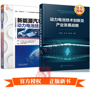 2册 动力电池技术创新及产业发展战略+新能源汽车动力电池技术 动力电池发展锂硫电池全固态电池动力电池