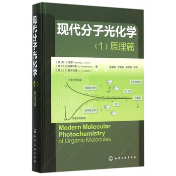现代分子光化学(1原理篇)(精)