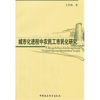 城市化进程中农民工市民化研究