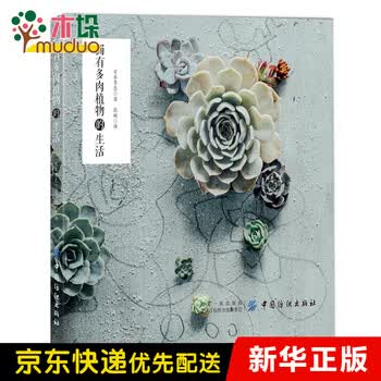 拥有多肉植物的生活