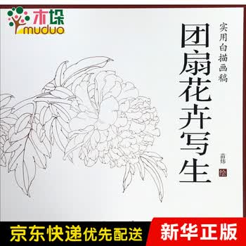 团扇花卉写生(实用白描画稿)