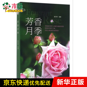 芳香月季
