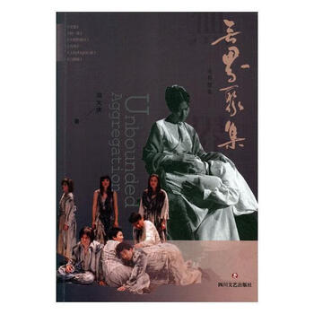 无界聚集 冯大庆 文学 9787541151682