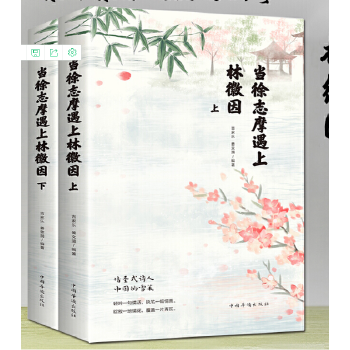 当徐志摩遇上林徽因  (上下册)