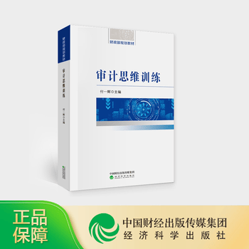 审计思维训练 付一辉主编 